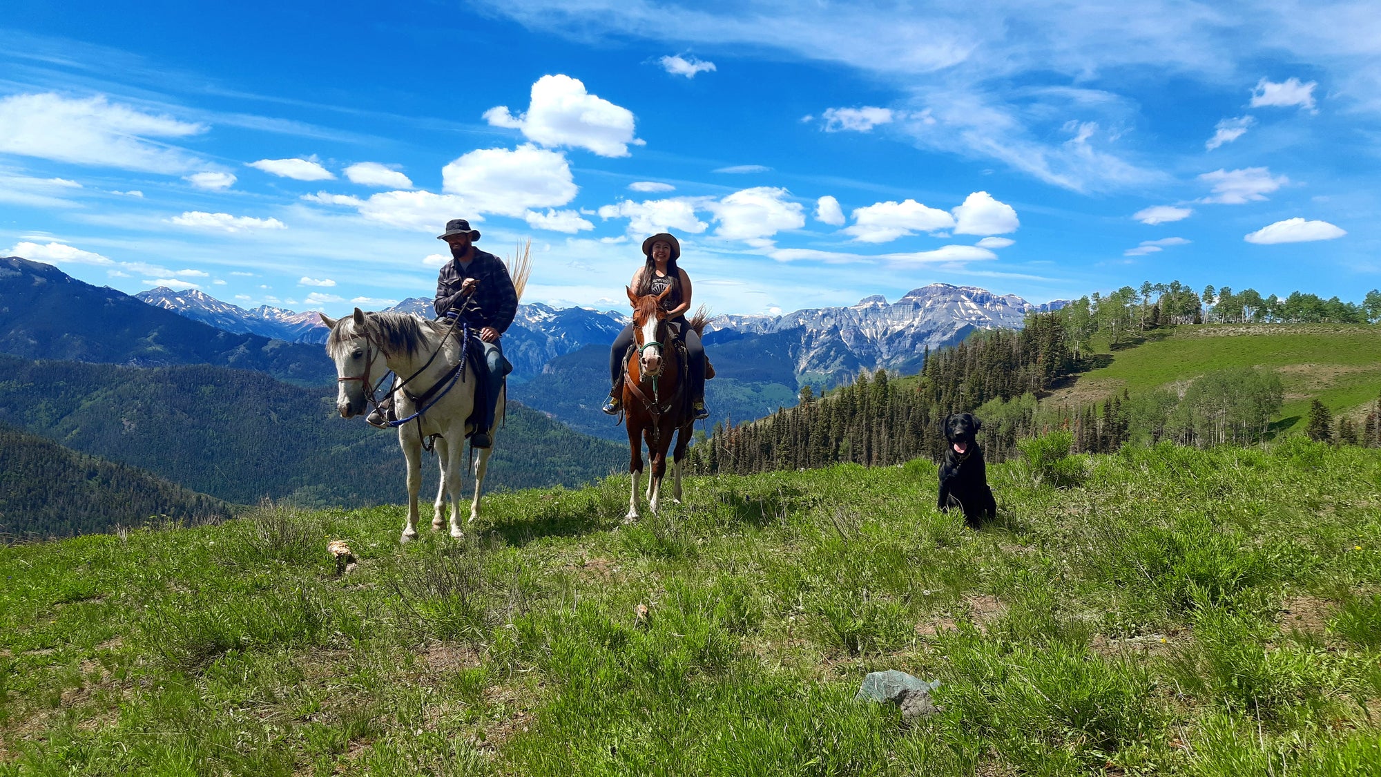 About Me – Sunwise Direction